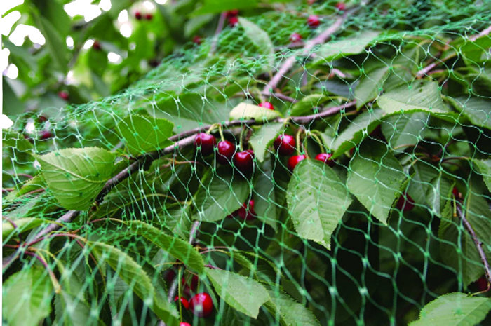 Fuglenet 2 x 5 meter - Garden | jem & fix