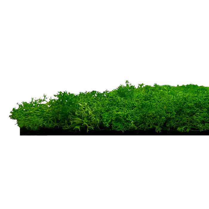 Jangal Modular Wall mospanel 52 x 52 cm - Rich Green | jem & fix