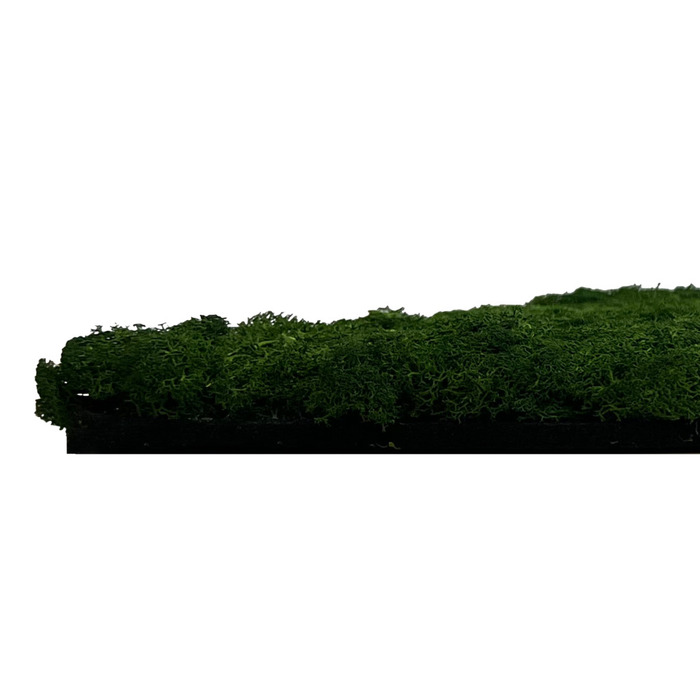 Jangal Modular Wall mospanel 52 x 52 cm - Dark Green | jem & fix