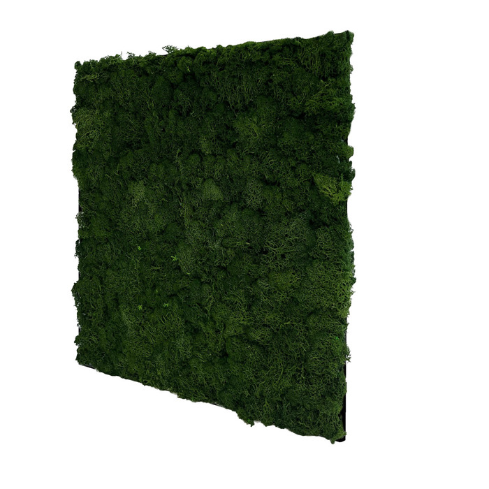 Jangal Modular Wall mospanel 52 x 52 cm - Dark Green | jem & fix