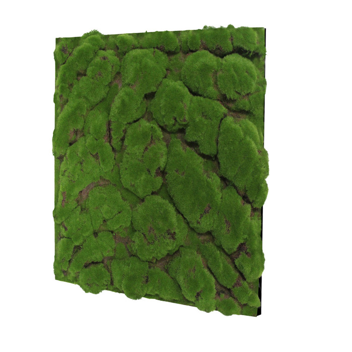 Jangal Modular Wall mospanel 52 x 52 cm Dark Green | jem & fix