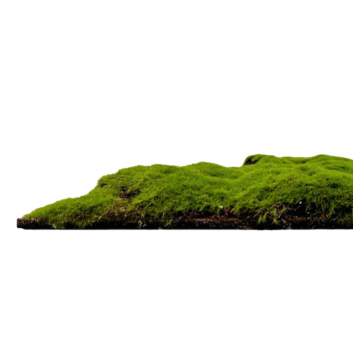 Jangal Modular Wall mospanel 52 x 52 cm Forrest Green | jem & fix