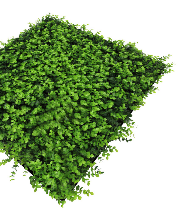 Jangal Modular Wall plantepanel 52 x 52 cm - Buxus | jem & fix